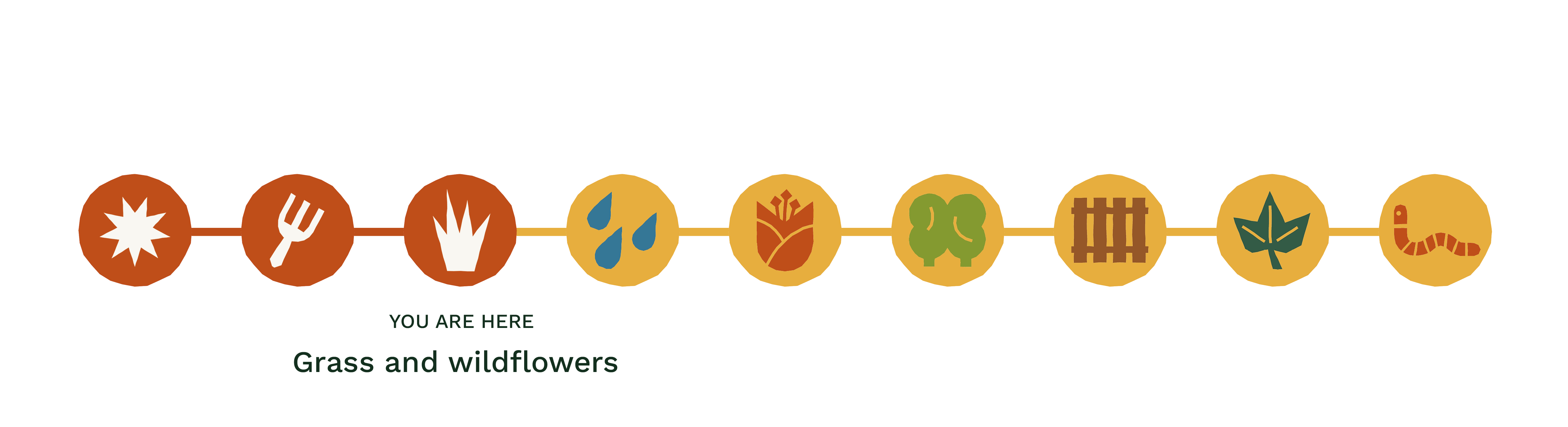 Mapping grass and wildflower habitats | Education Nature Park