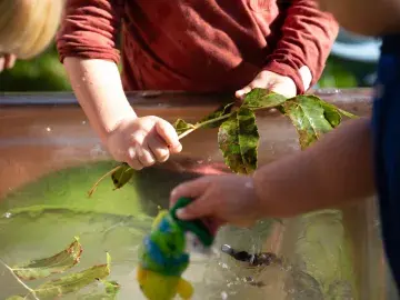 A Nature Park guide for EYFS | Education Nature Park