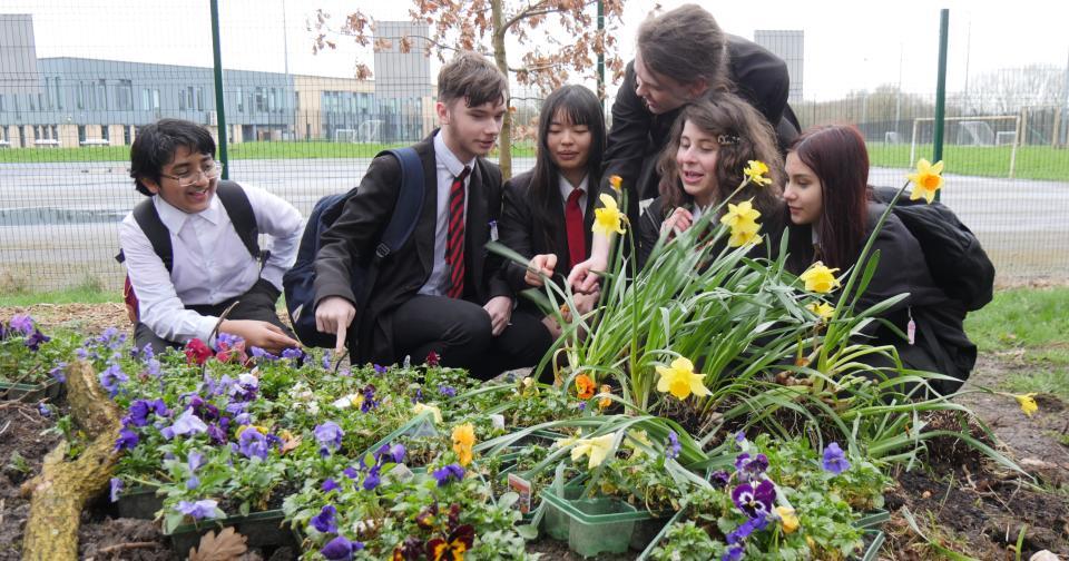 Selecting plants: A Nature Park Guide | Education Nature Park