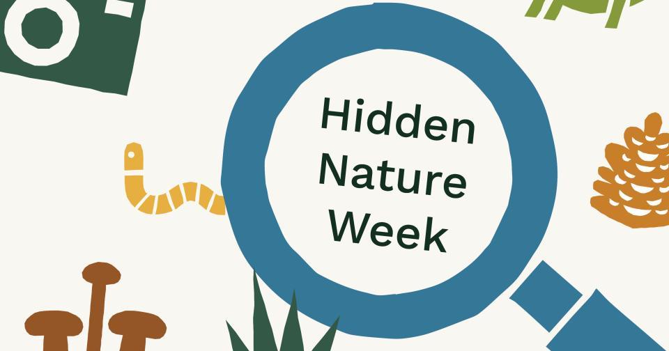 Hidden Nature Week | Education Nature Park