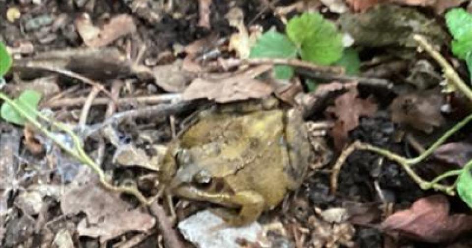 Nature revealed in schools across the country as part of Hidden Nature ...