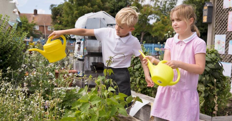 How to water plants | Education Nature Park